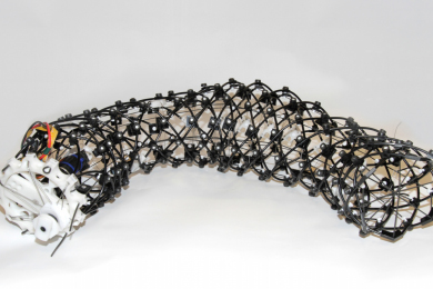 Biologically Inspired Robotics | Case School of Engineering | Case ...